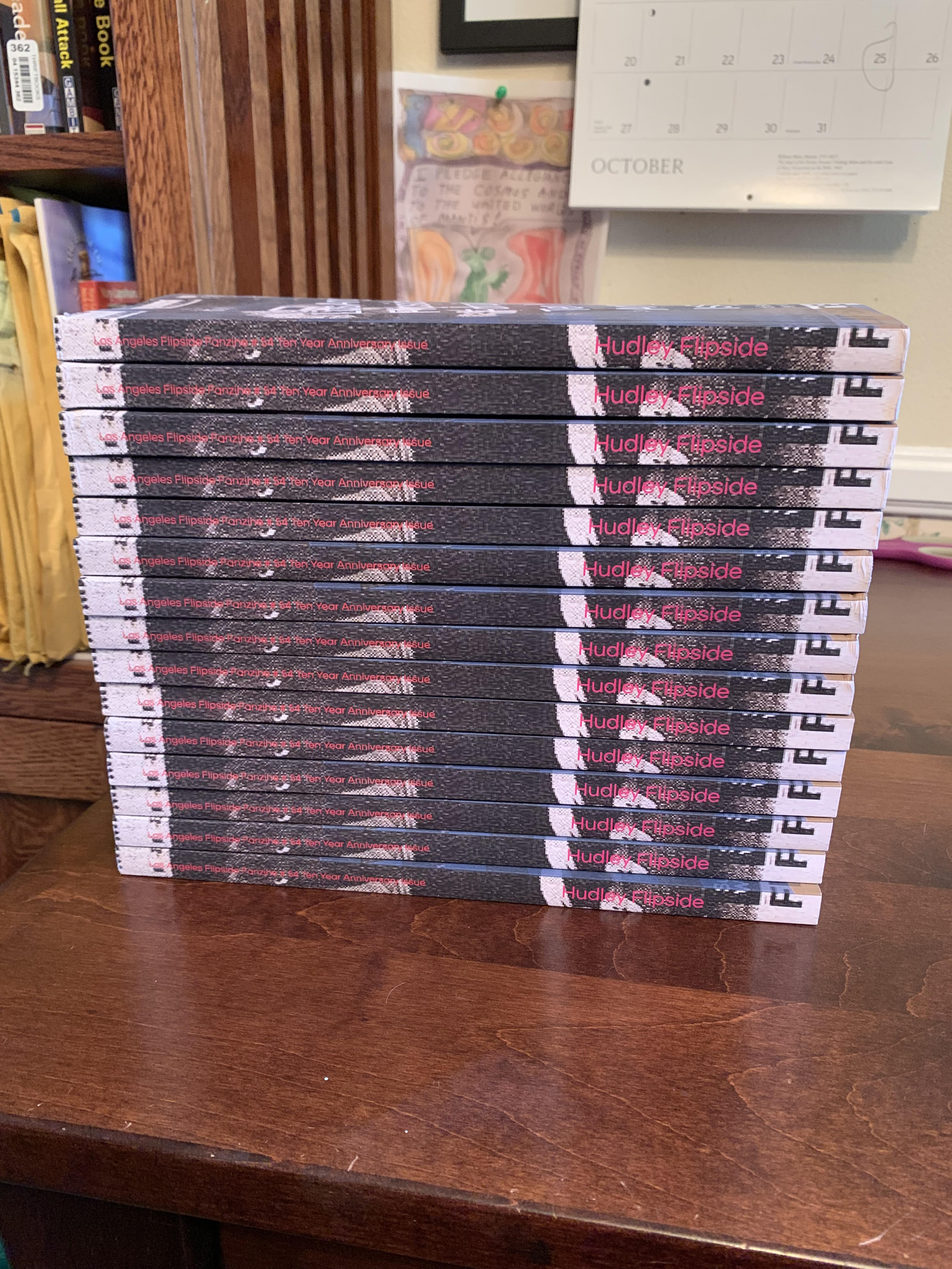 Flipside Fanzine # 54 Ten Year Anniversary Issue – The Seminary of ...