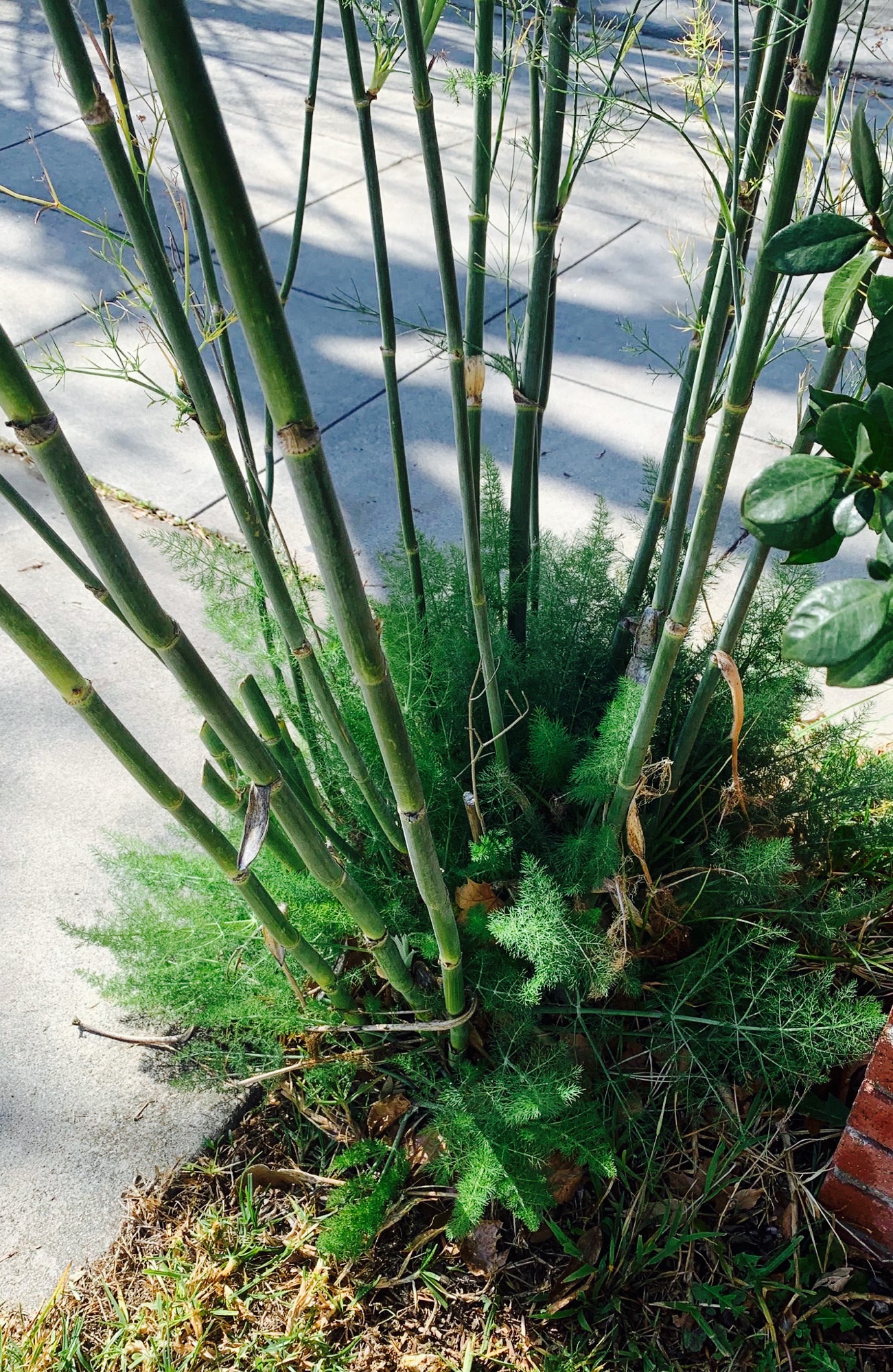 “Prometheus” a poem by Johann Wolfgang von Goethe. – The Seminary of ...